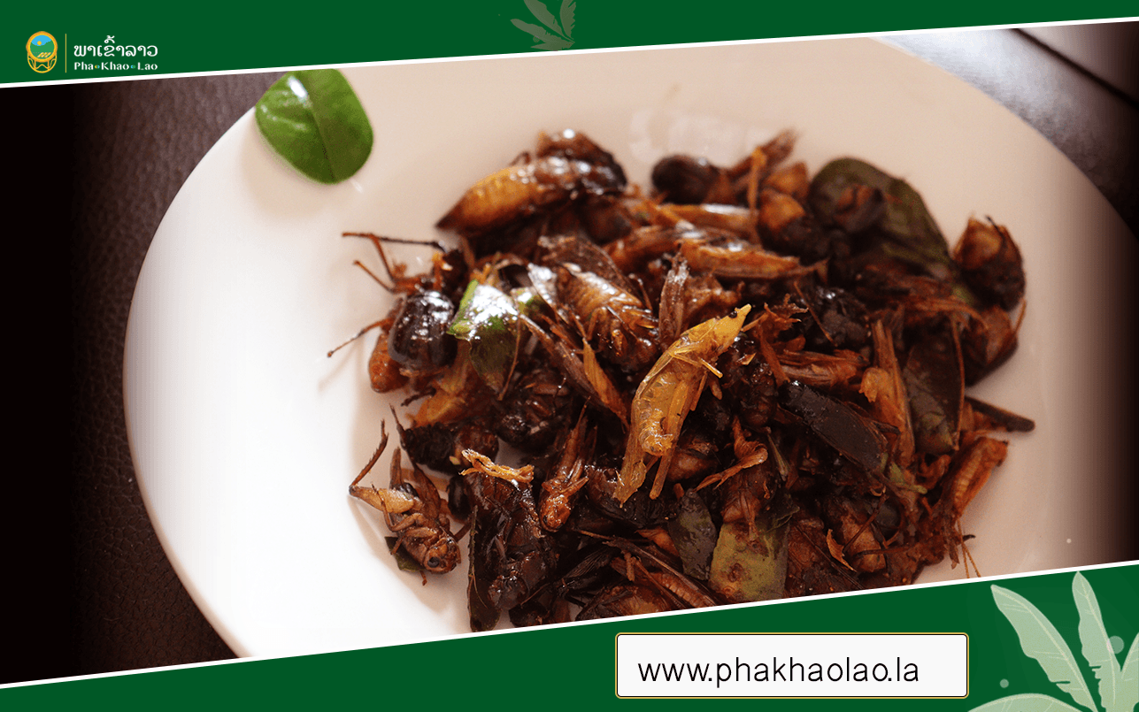 Crispy fried insects (Khua Maeng Mai) - Pha Khao Lao